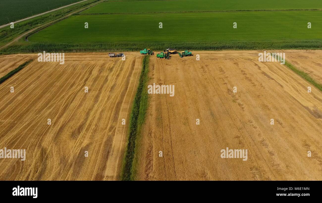 Harvesting barley harvesters. Fields of wheat and barley, the work of ...