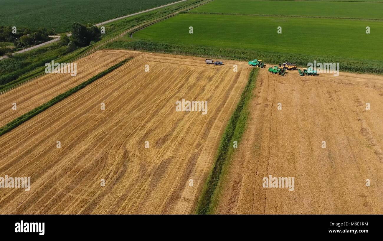 Harvesting barley harvesters. Fields of wheat and barley, the work of ...