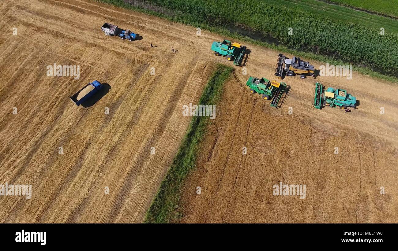 Harvesting barley harvesters. Fields of wheat and barley, the work of ...