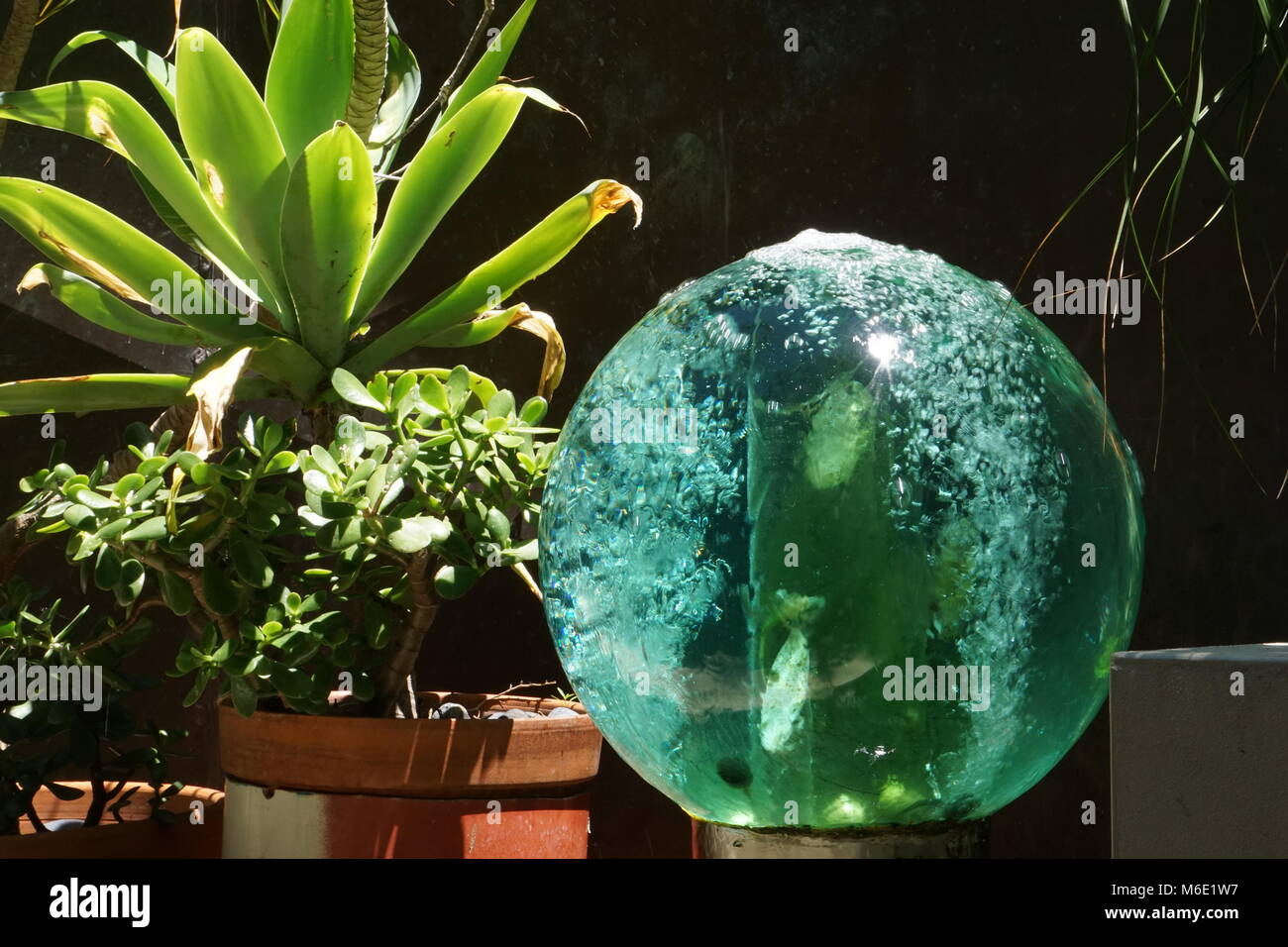 Outdoor display with plant and water feature Stock Photo - Alamy