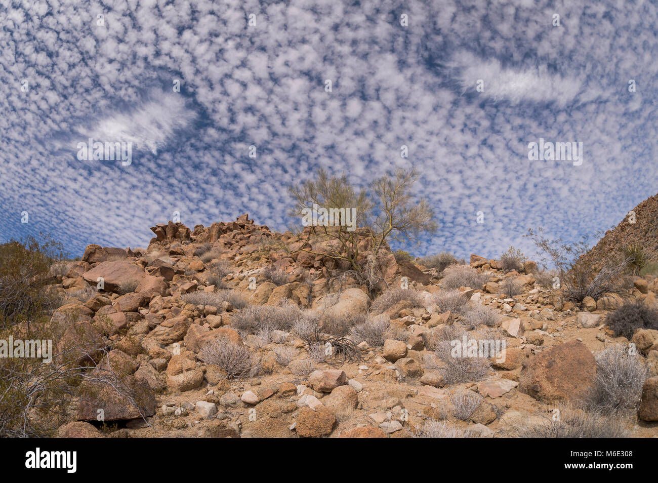 Fallstreak Holes in Cirrocumulus Clouds Stock Photo - Alamy