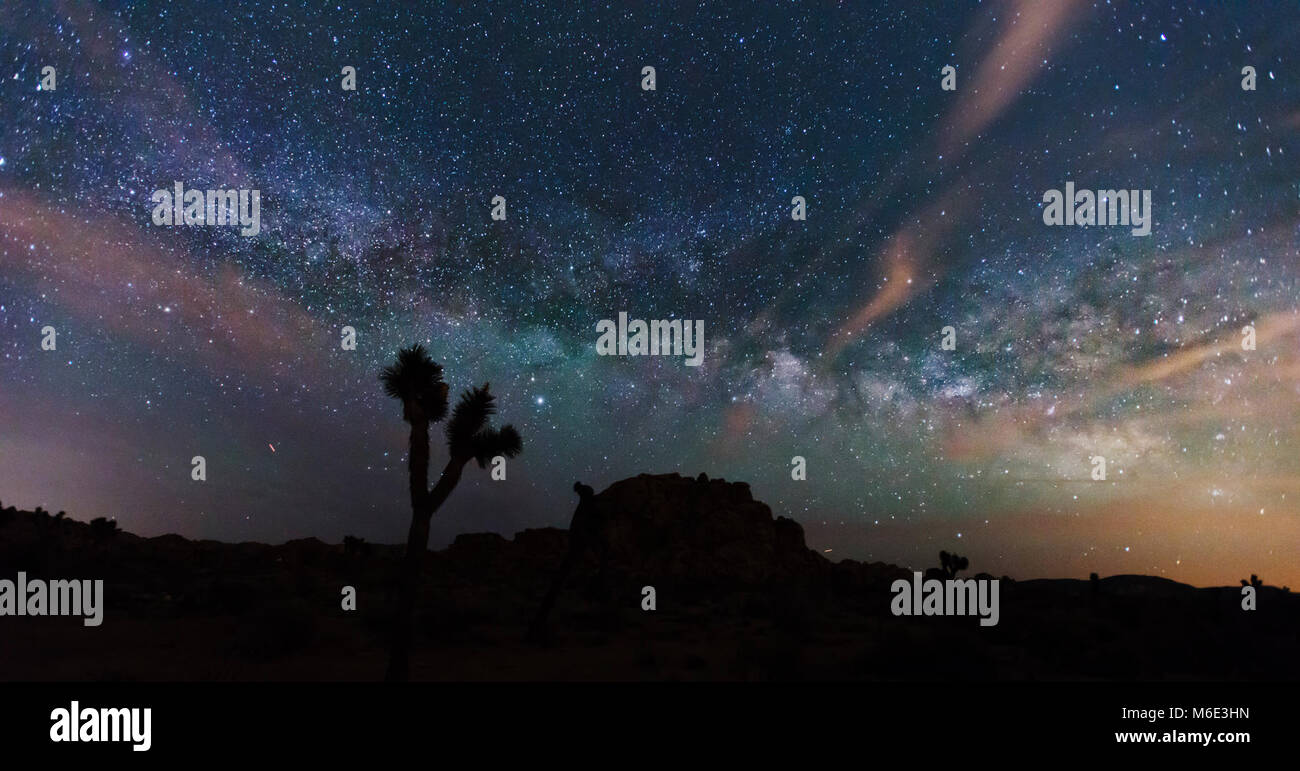 Milky Way Galaxy of Joshua Tree Stock Photo - Alamy
