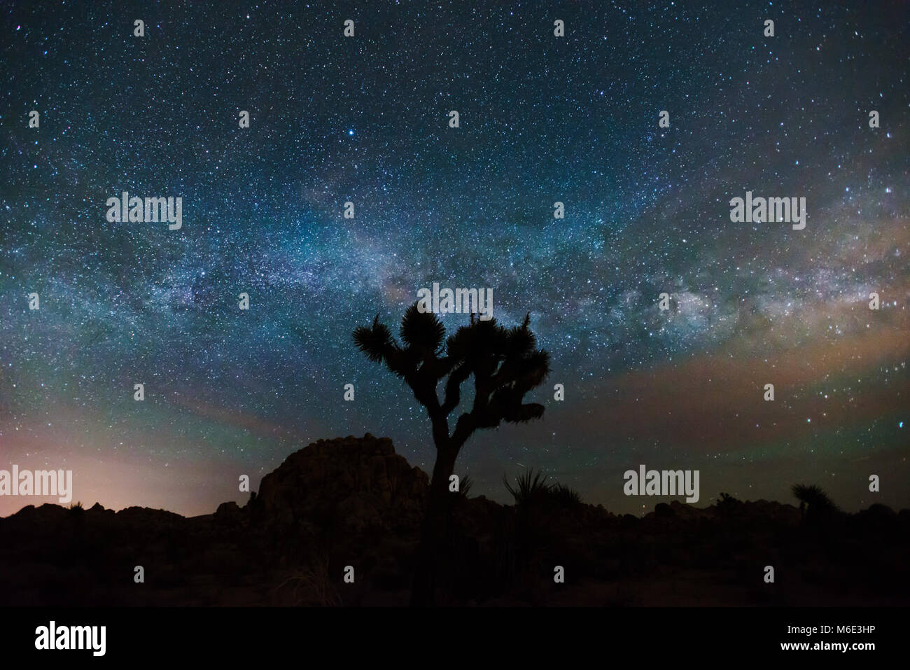 Milky Way Galaxy of Joshua Tree Stock Photo - Alamy