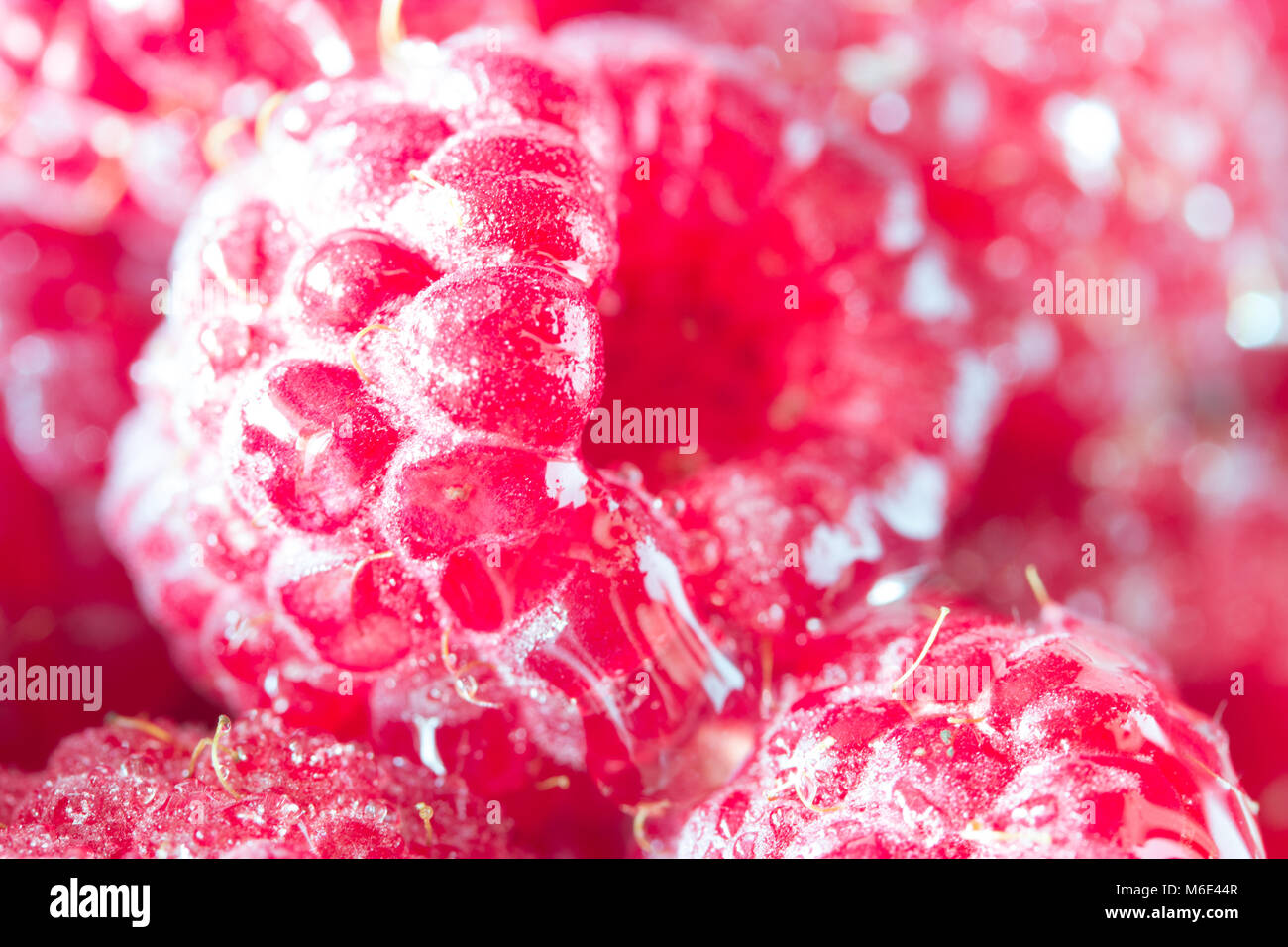 Ripe red raspberries close up. vivid colors Stock Photo - Alamy
