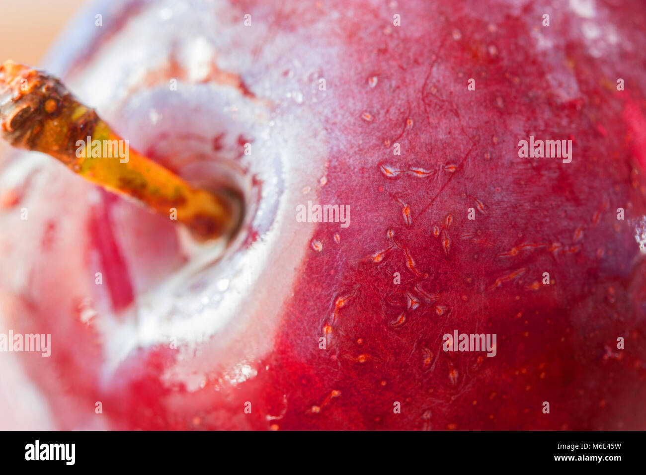 fresh dark Plums in close-up. plum macro Stock Photo - Alamy
