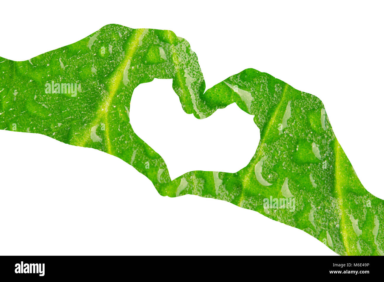conceptual green hand in heart shape isolated on white Stock Photo - Alamy