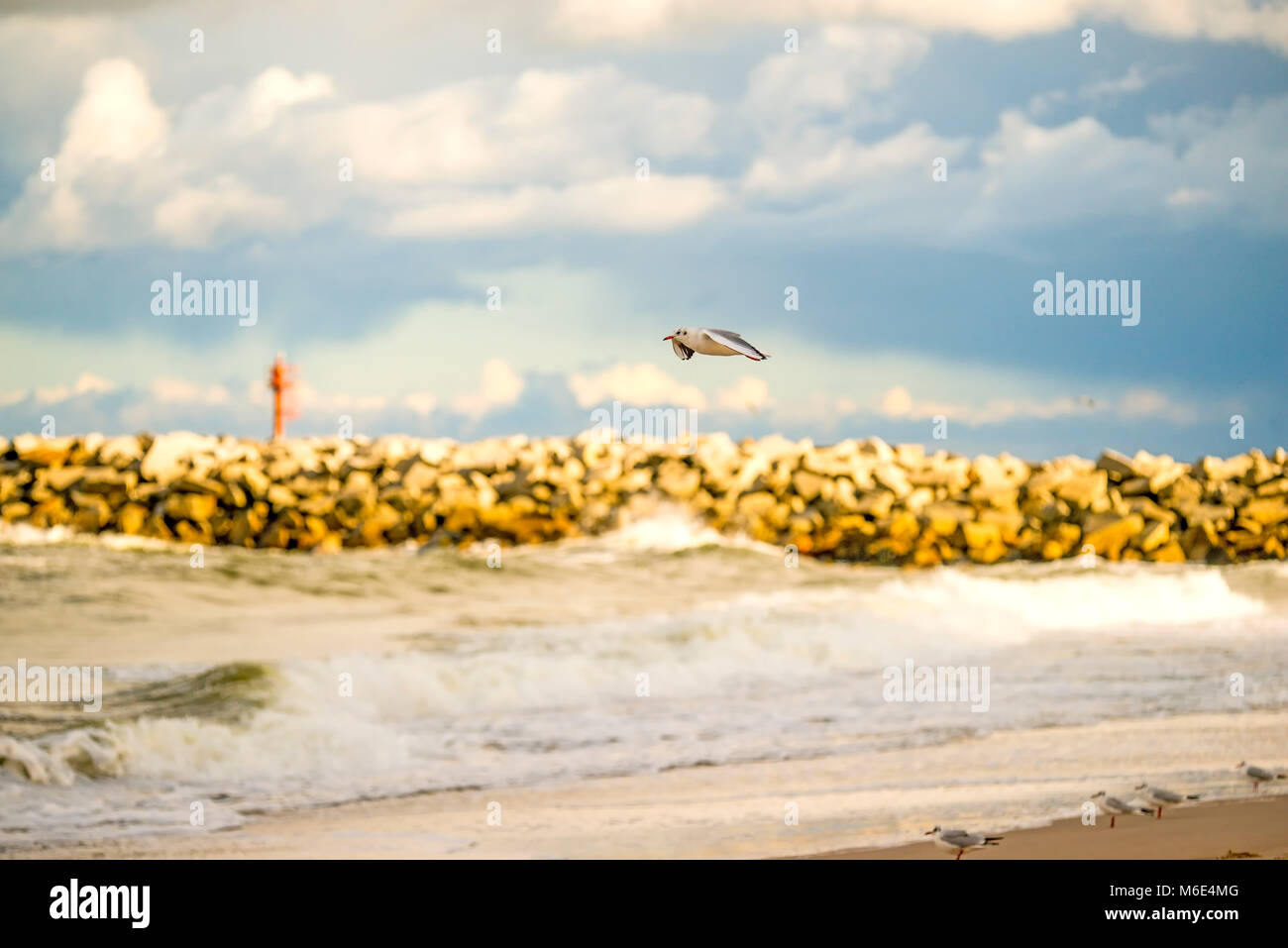 Flying deep hi-res stock photography and images - Alamy