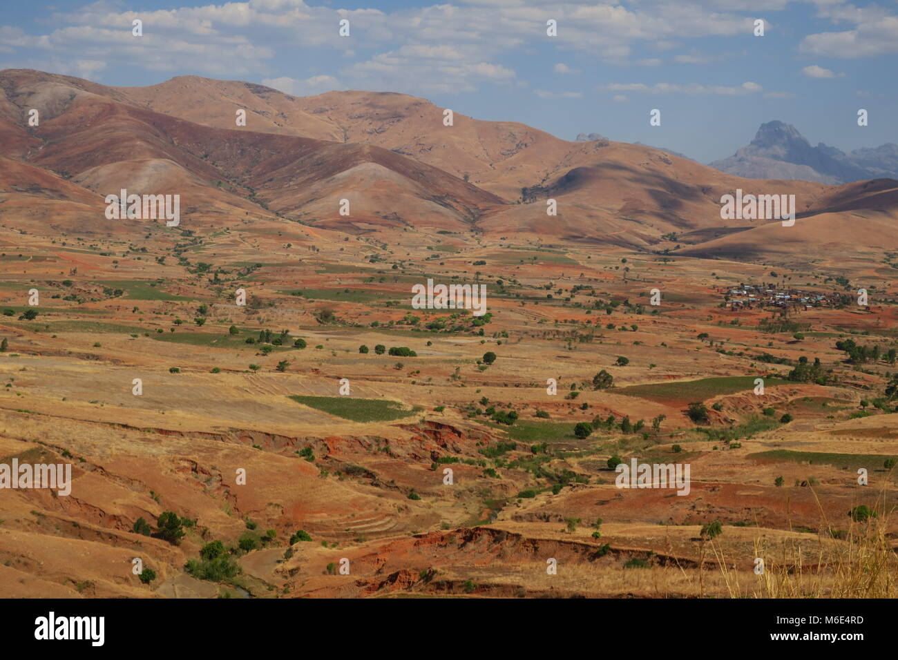 Colorful nature of Madagascar island Stock Photo - Alamy