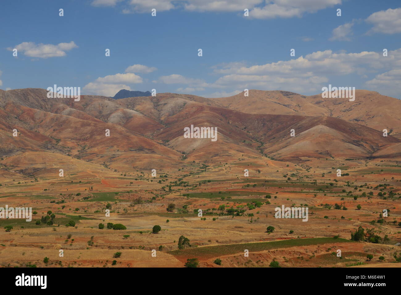 Colorful nature of Madagascar island Stock Photo - Alamy