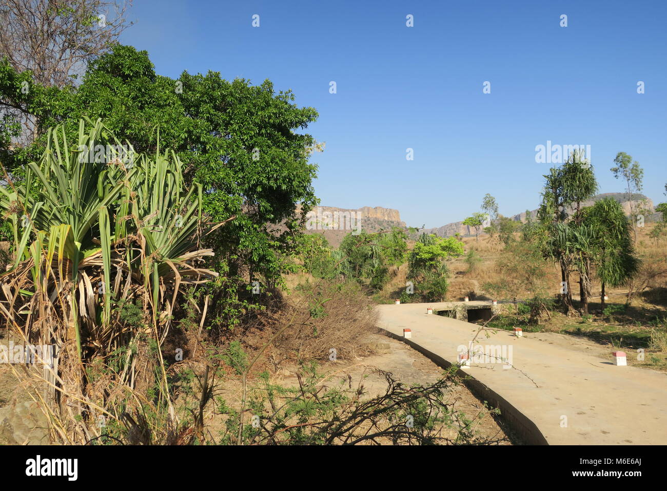 Colorful nature of Madagascar island Stock Photo - Alamy