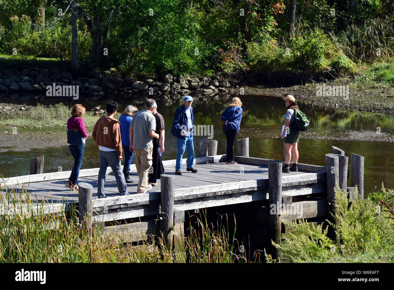 Estuary Walk 3 Stock Photo - Alamy
