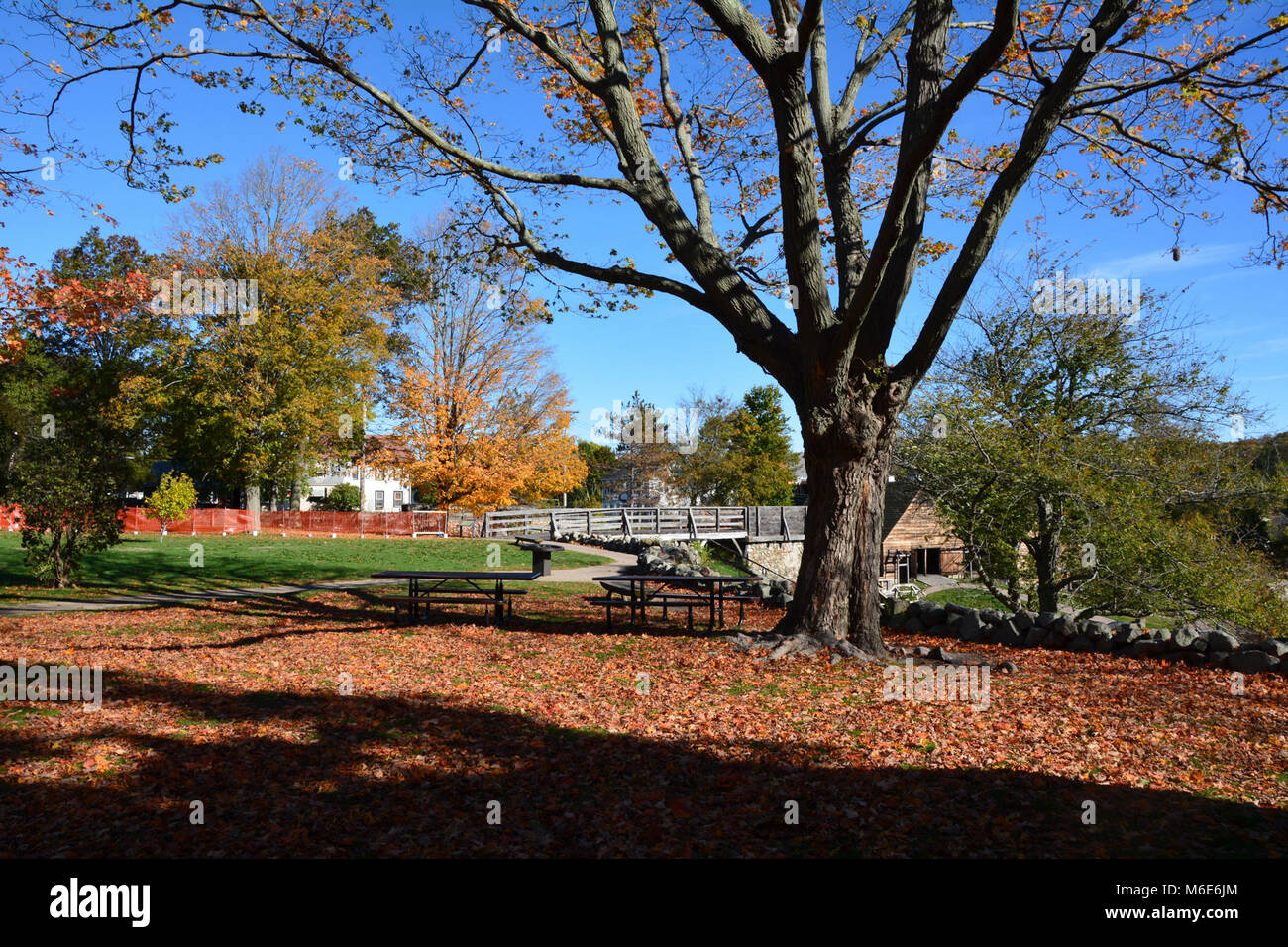 October fall colors Stock Photo - Alamy