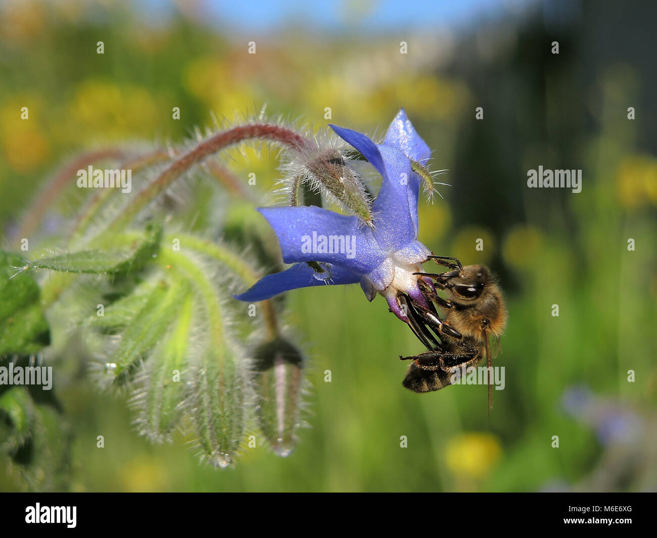 Summer 1 hi-res stock photography and images - Alamy