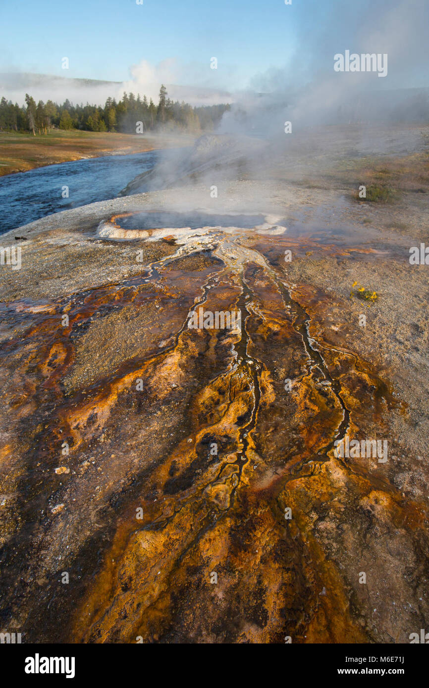 Hot spring & thermophiles, Upper Geyser Basin Stock Photo - Alamy