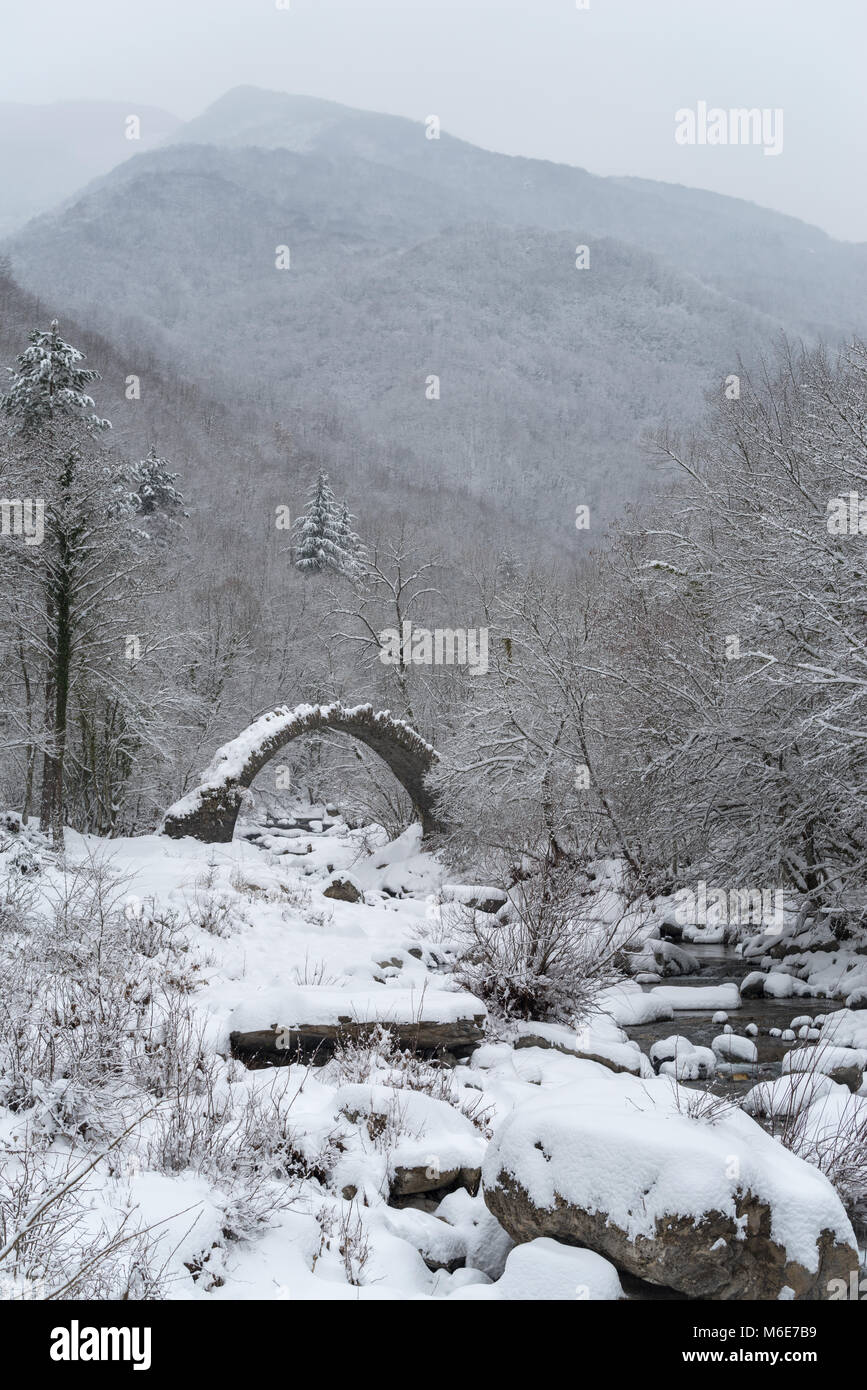 Ruins of arch bridge in mountains during winter, Rezzo municipality ...