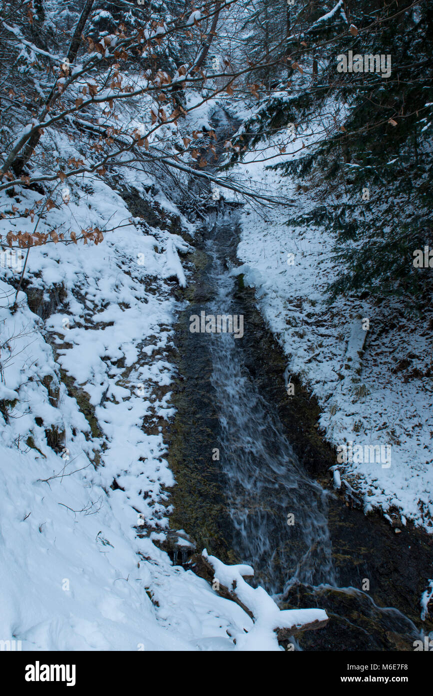 A snowy stream nearby Neuschwanstein Stock Photo - Alamy