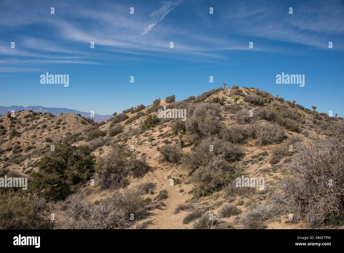Eureka peak hi-res stock photography and images - Alamy