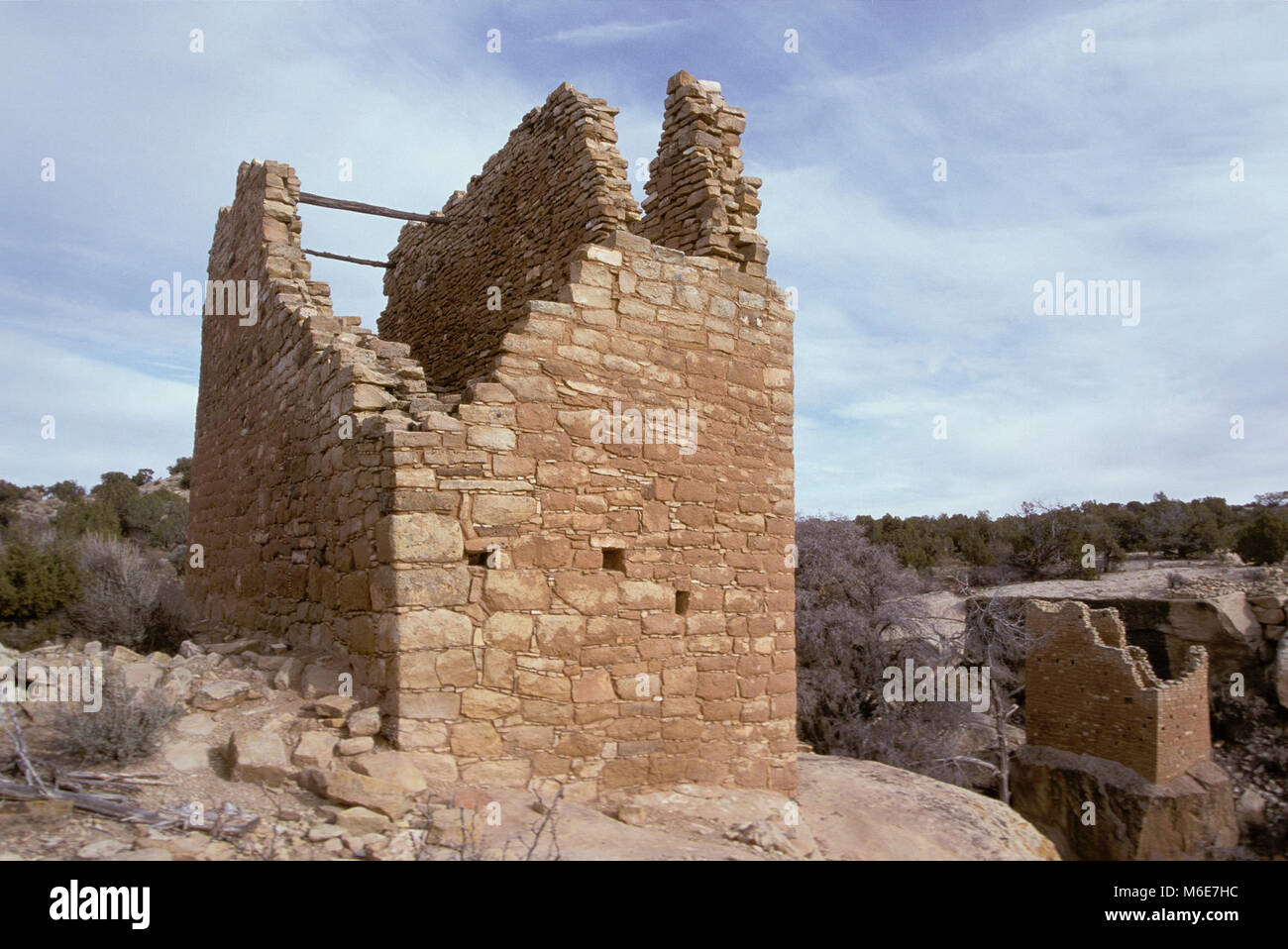 Holly unit hi-res stock photography and images - Alamy