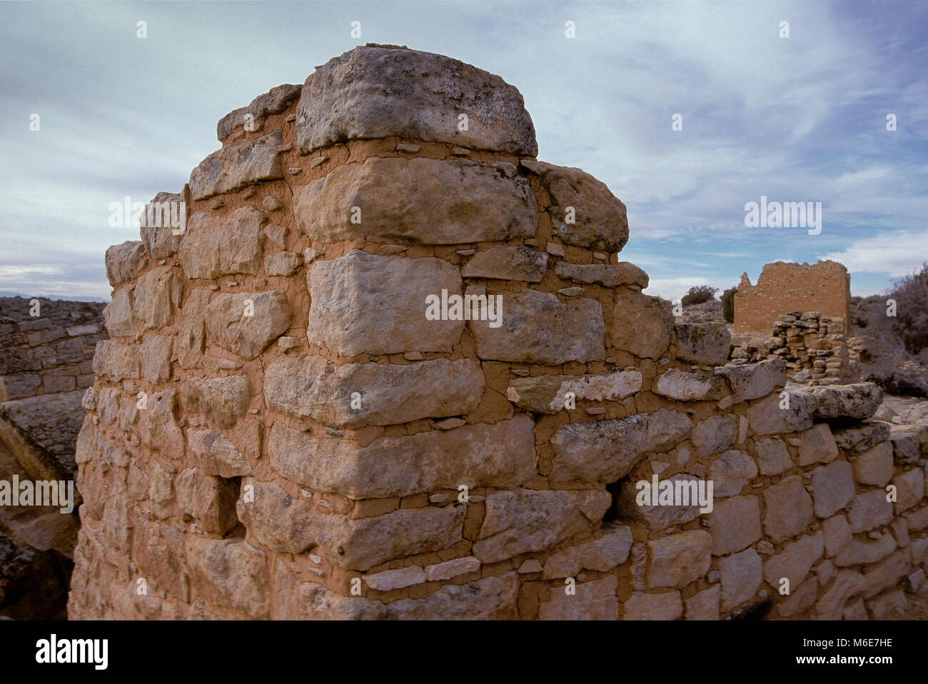 Holly unit hi-res stock photography and images - Alamy