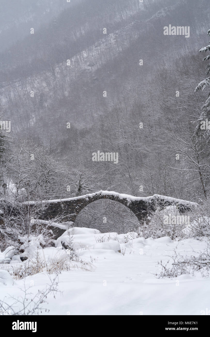 Ruins of arch bridge in mountains during winter, Rezzo municipality ...