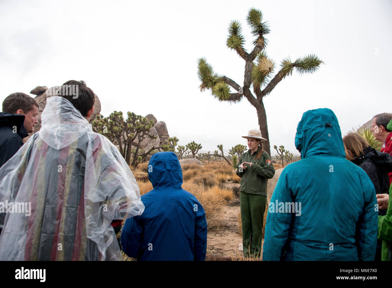 Ranger Sarah Jane Pepper leading visitors on the Cap Rock Stock Photo ...
