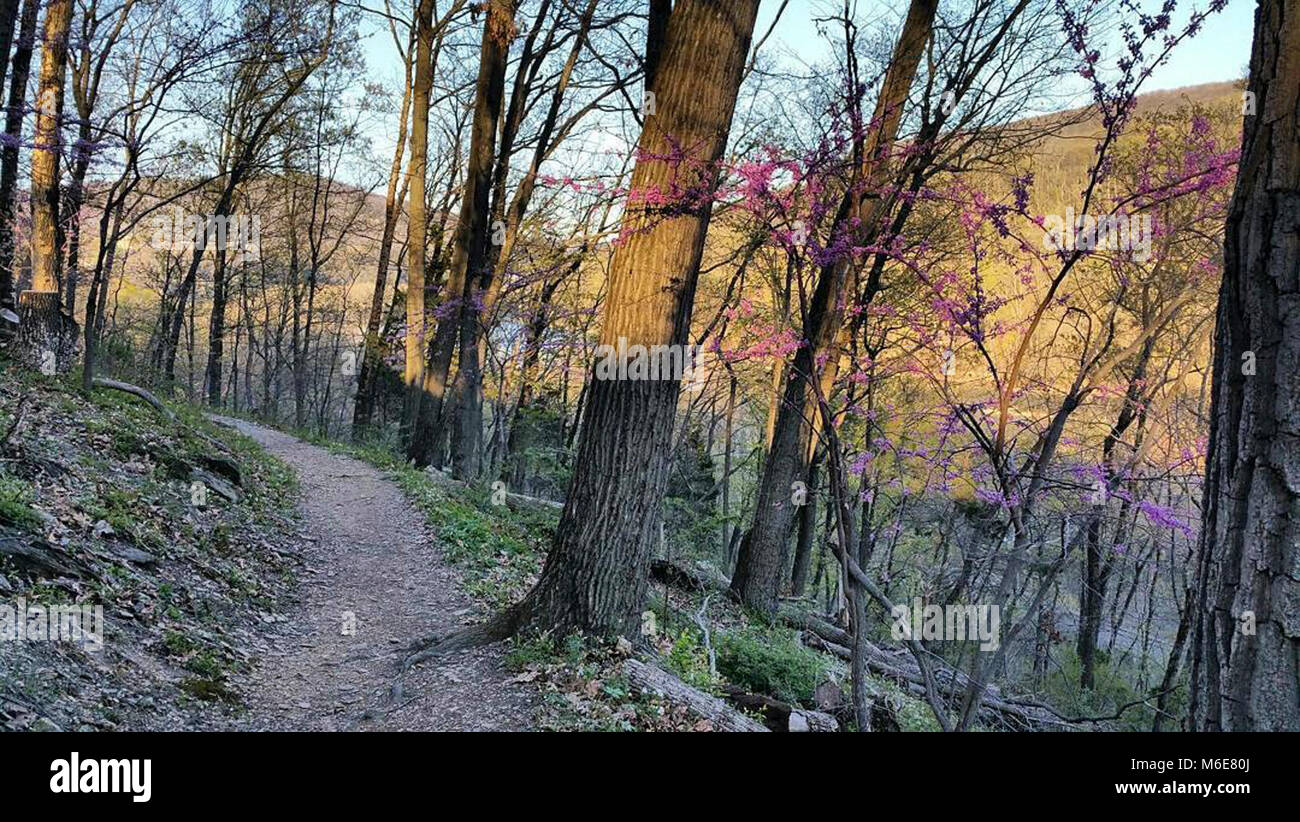 Study nature, love nature, stay close to nature It will Stock Photo - Alamy