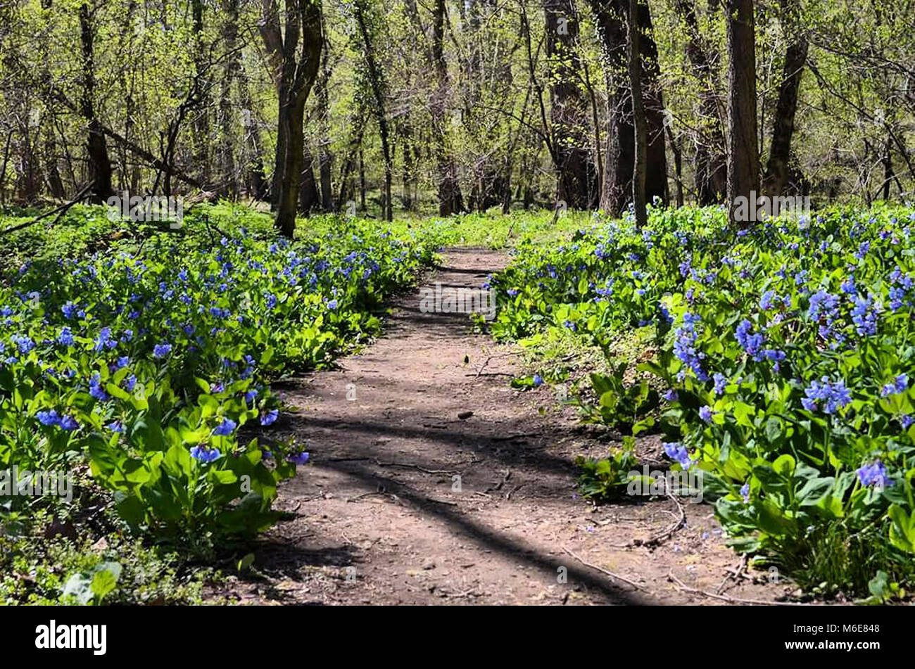 Virginius island hi-res stock photography and images - Alamy