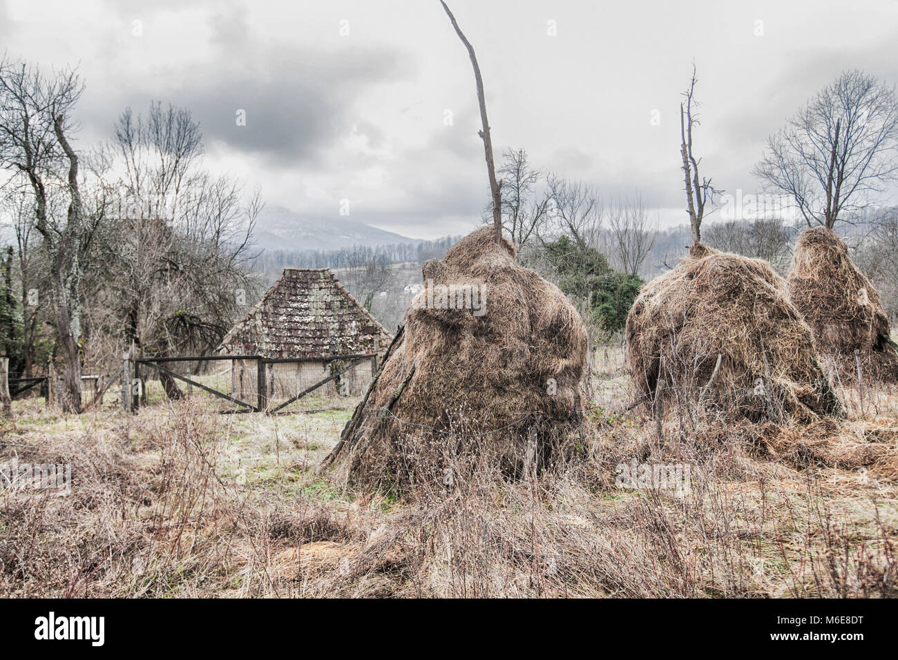 Rural landscape , haystack in countryside, traditional way of ...