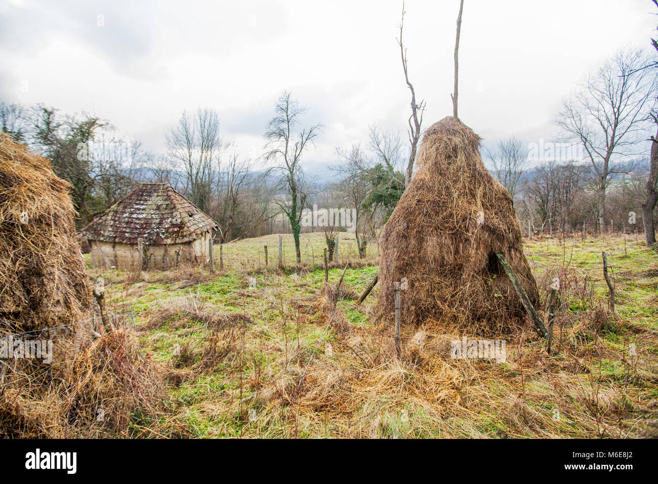Rural landscape , haystack in countryside, traditional way of ...