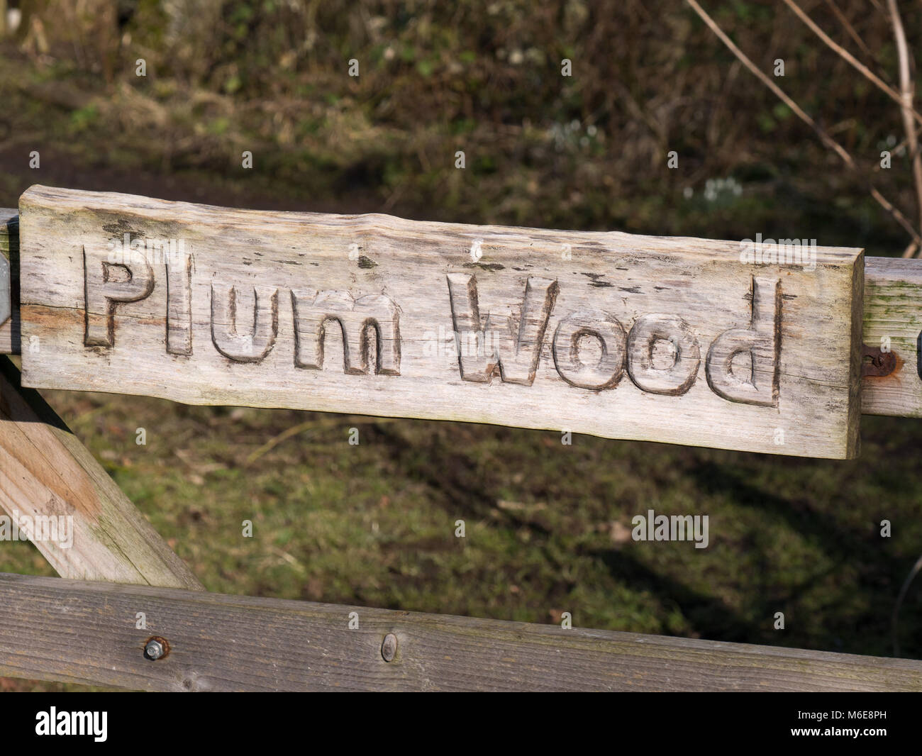 Wooden sign for Plum Wood Stock Photo - Alamy