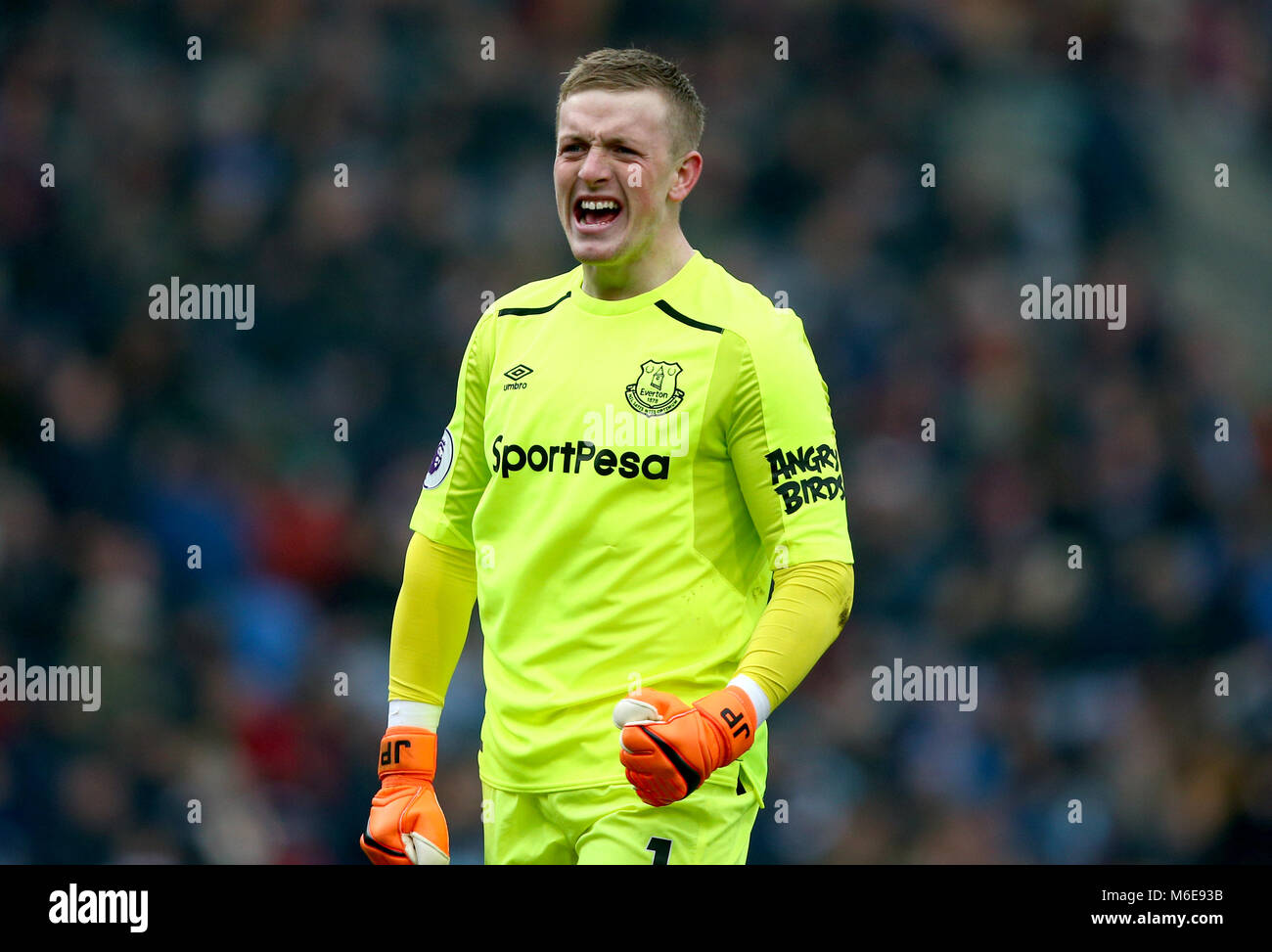 Everton goalkeeper Jordan Pickford celebrates Cenk Tosun scoring their ...