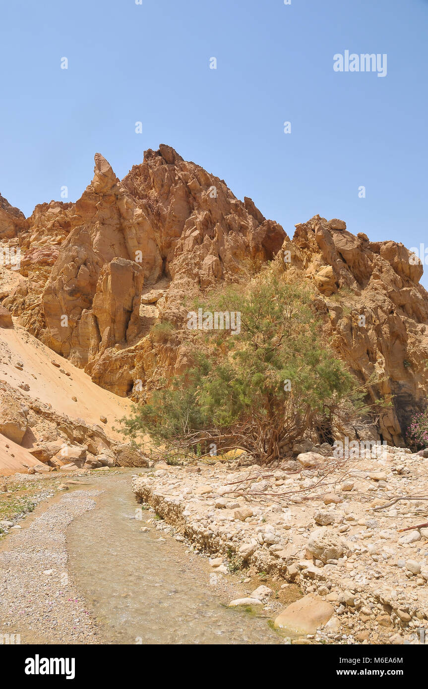 Inside one of the most beautiful valleys or Wadi Karak in Jordan in the ...