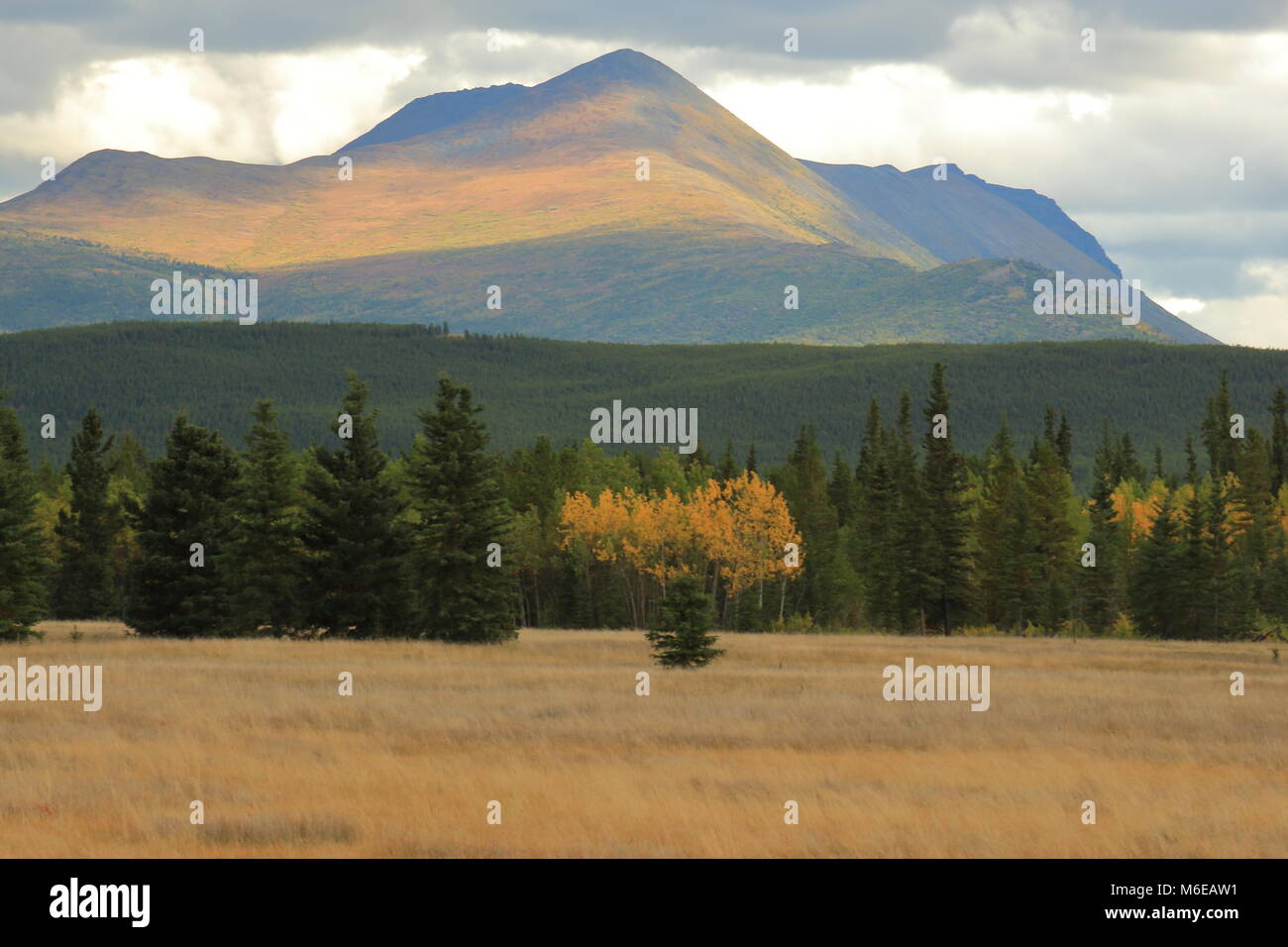 Savannah range hi-res stock photography and images - Alamy