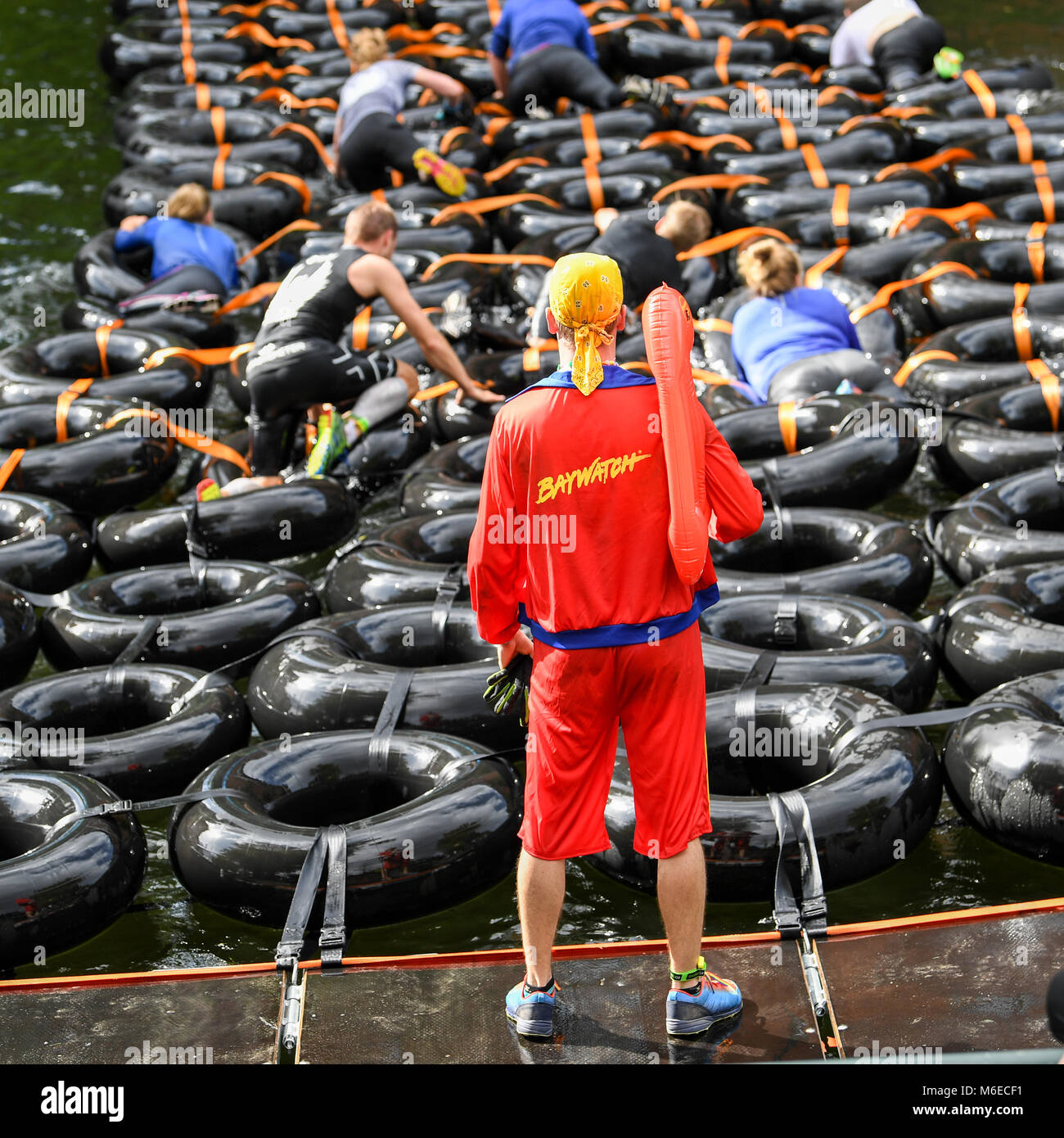 Training obstacles hi-res stock photography and images - Alamy