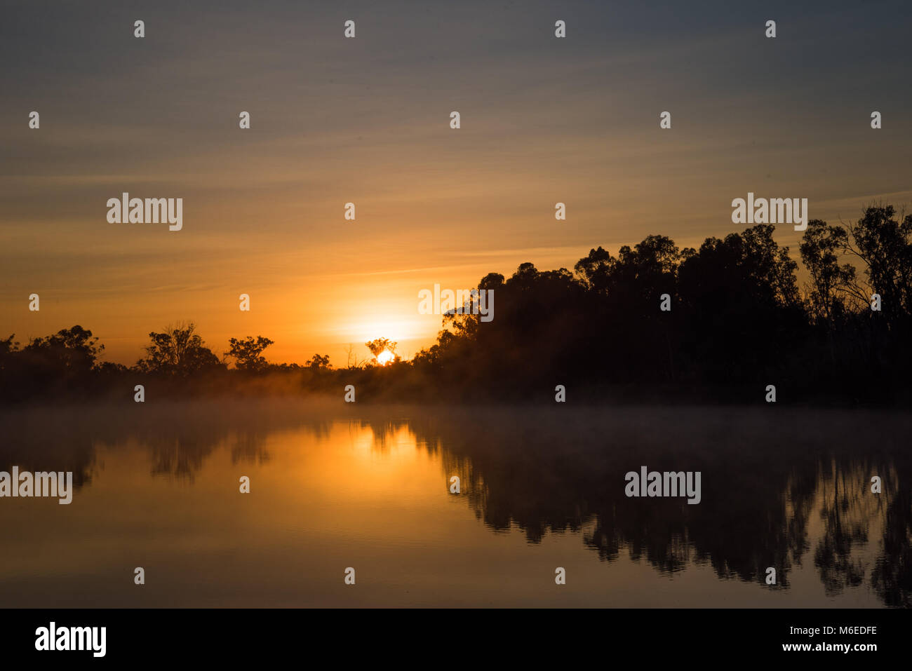 Murray golden hi-res stock photography and images - Alamy