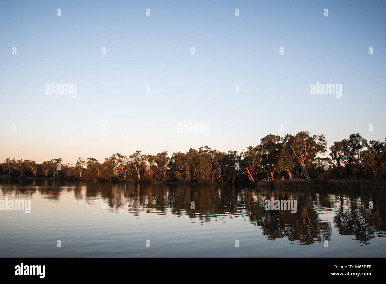 Reflections on the Murray River Stock Photo - Alamy