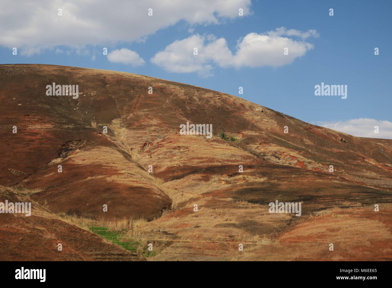 Colorful nature of Madagascar island Stock Photo - Alamy