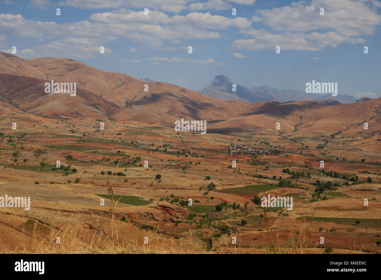 Colorful nature of Madagascar island Stock Photo - Alamy