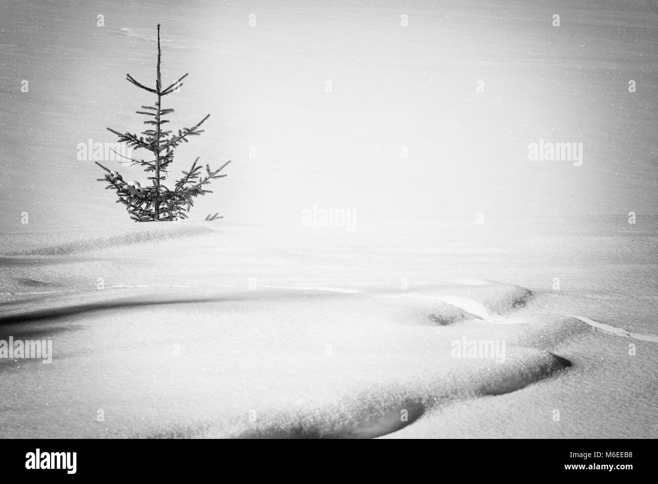 Alpine nature background Black and White Stock Photos & Images - Alamy