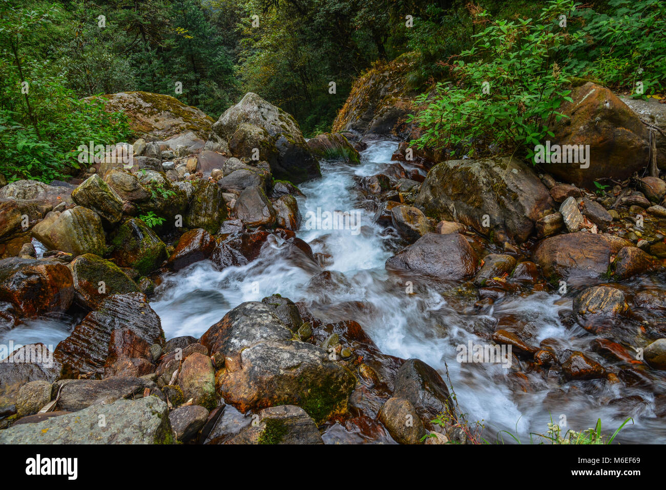 A small stream with rocks on Annapurna trekking trail at summer day in ...