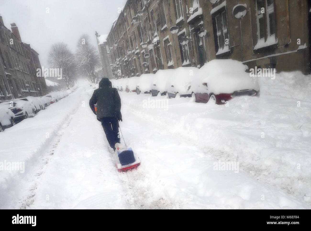 Man pulling sledge sleigh with food supplies ration in deep snow on ...