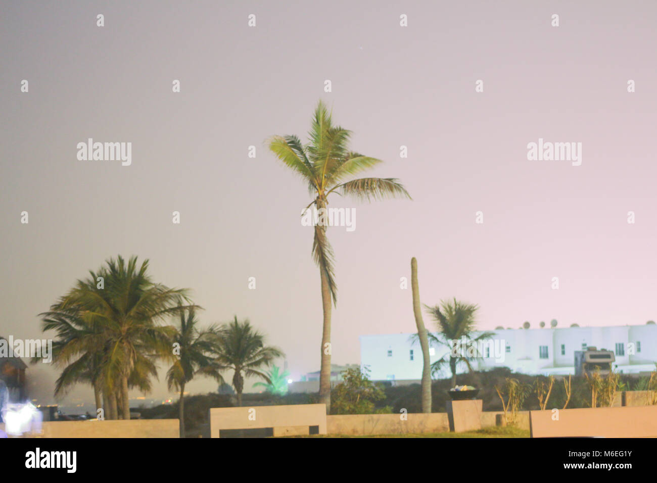 Untouched tropical beach in Oman at night Stock Photo - Alamy