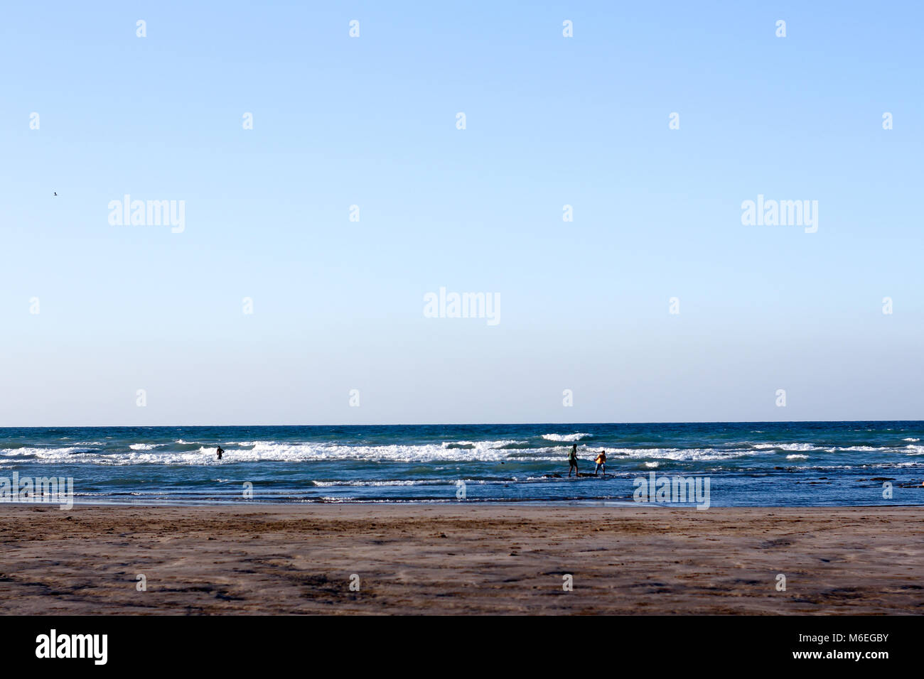 sunset and beach Empty tropical beach background. Horizon with sky and ...