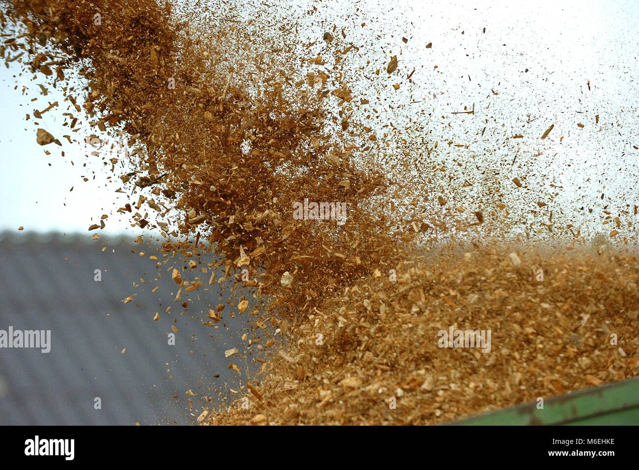 Piber hi-res stock photography and images - Alamy