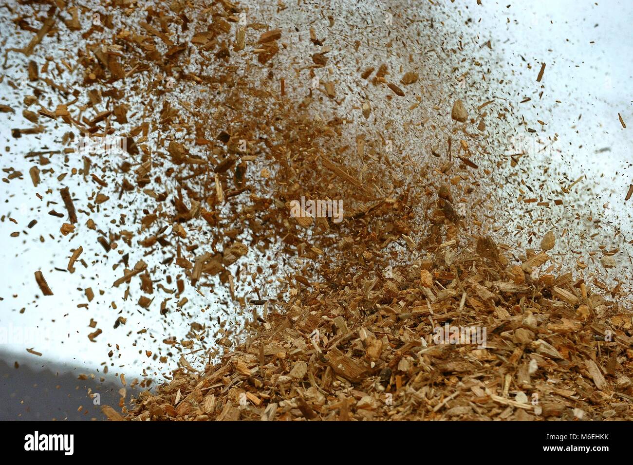 Chaff Piber 41 Stock Photo - Alamy