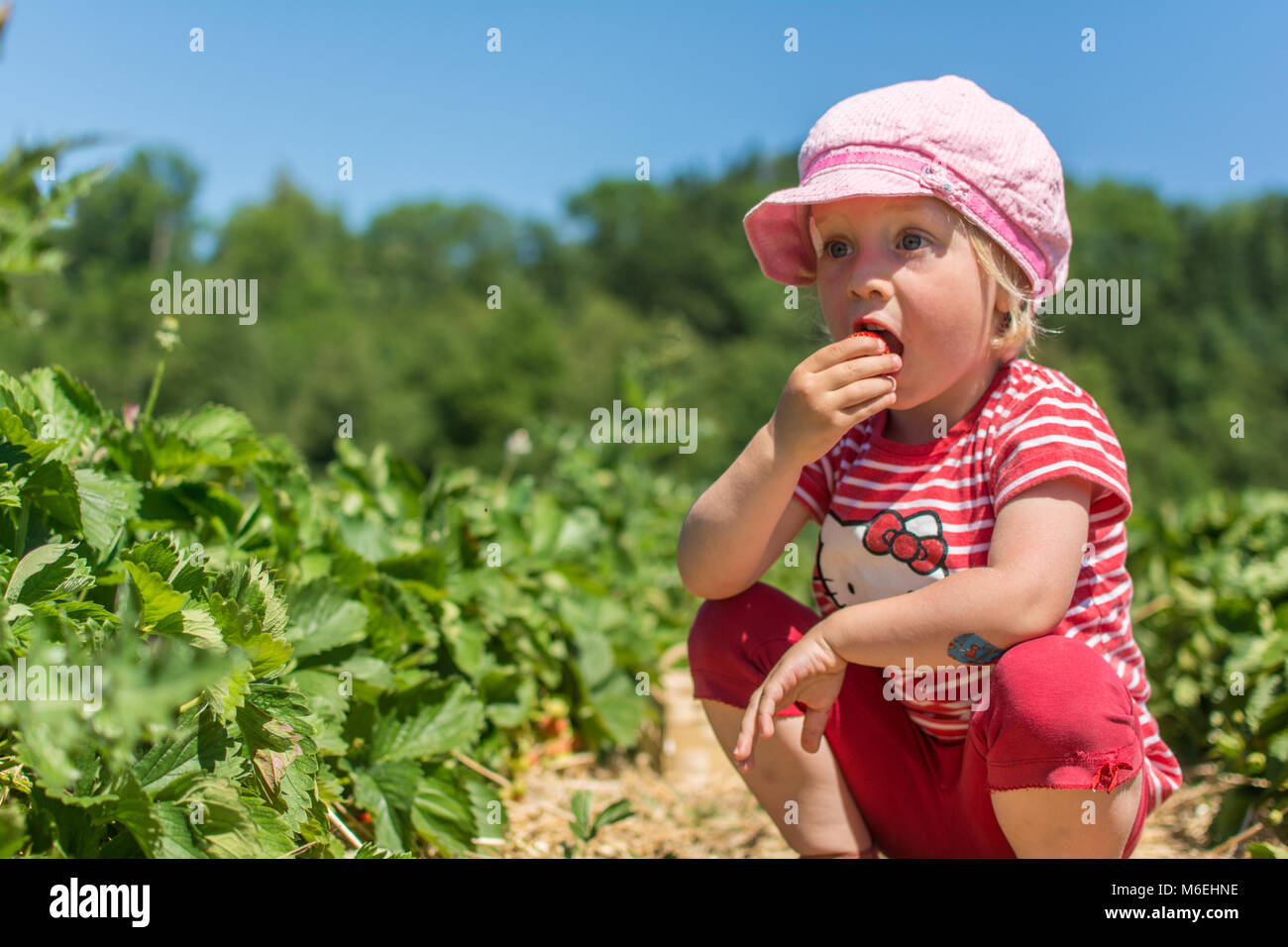 3497 hi-res stock photography and images - Alamy