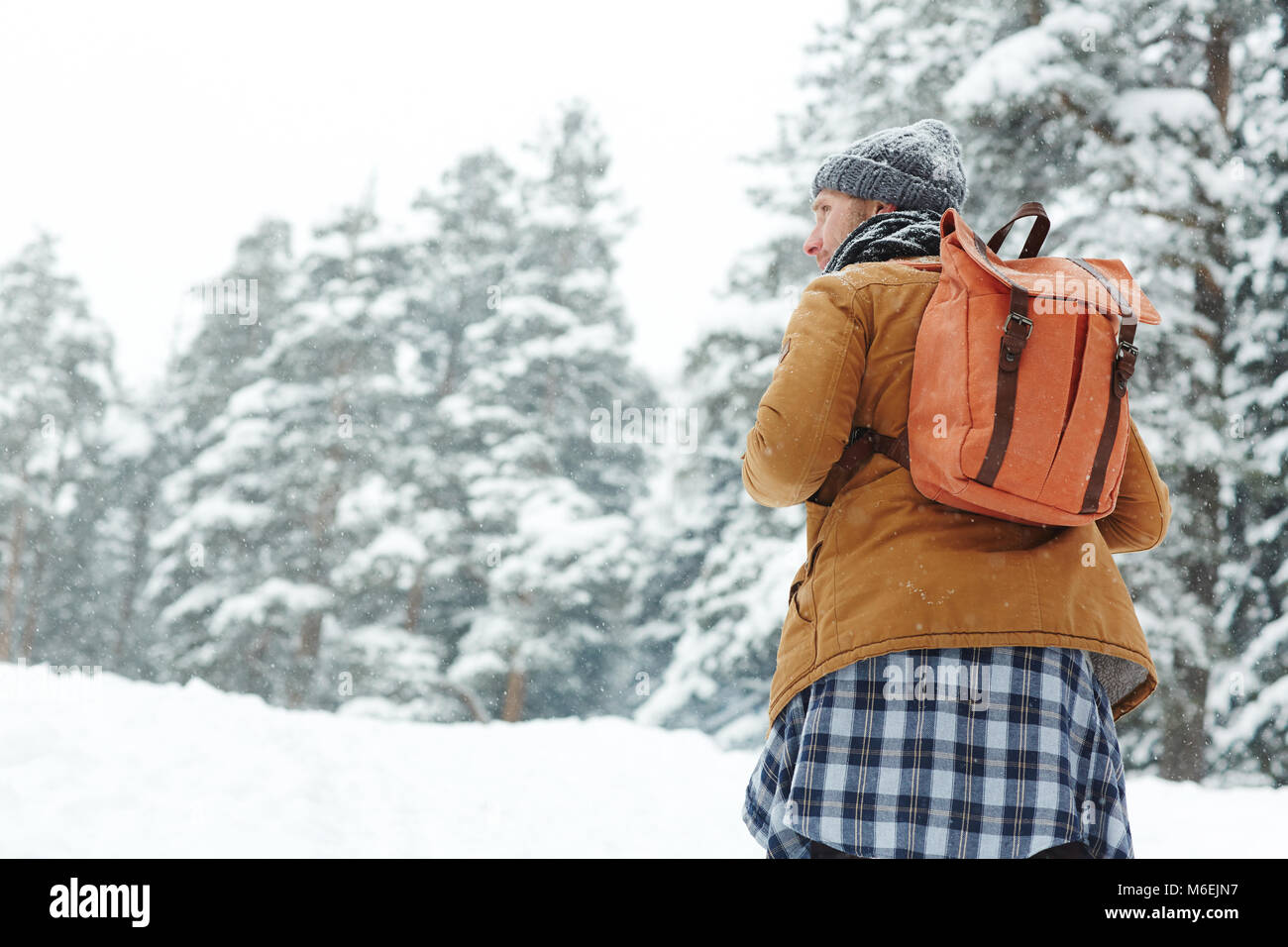 Weekend forest hi-res stock photography and images - Alamy