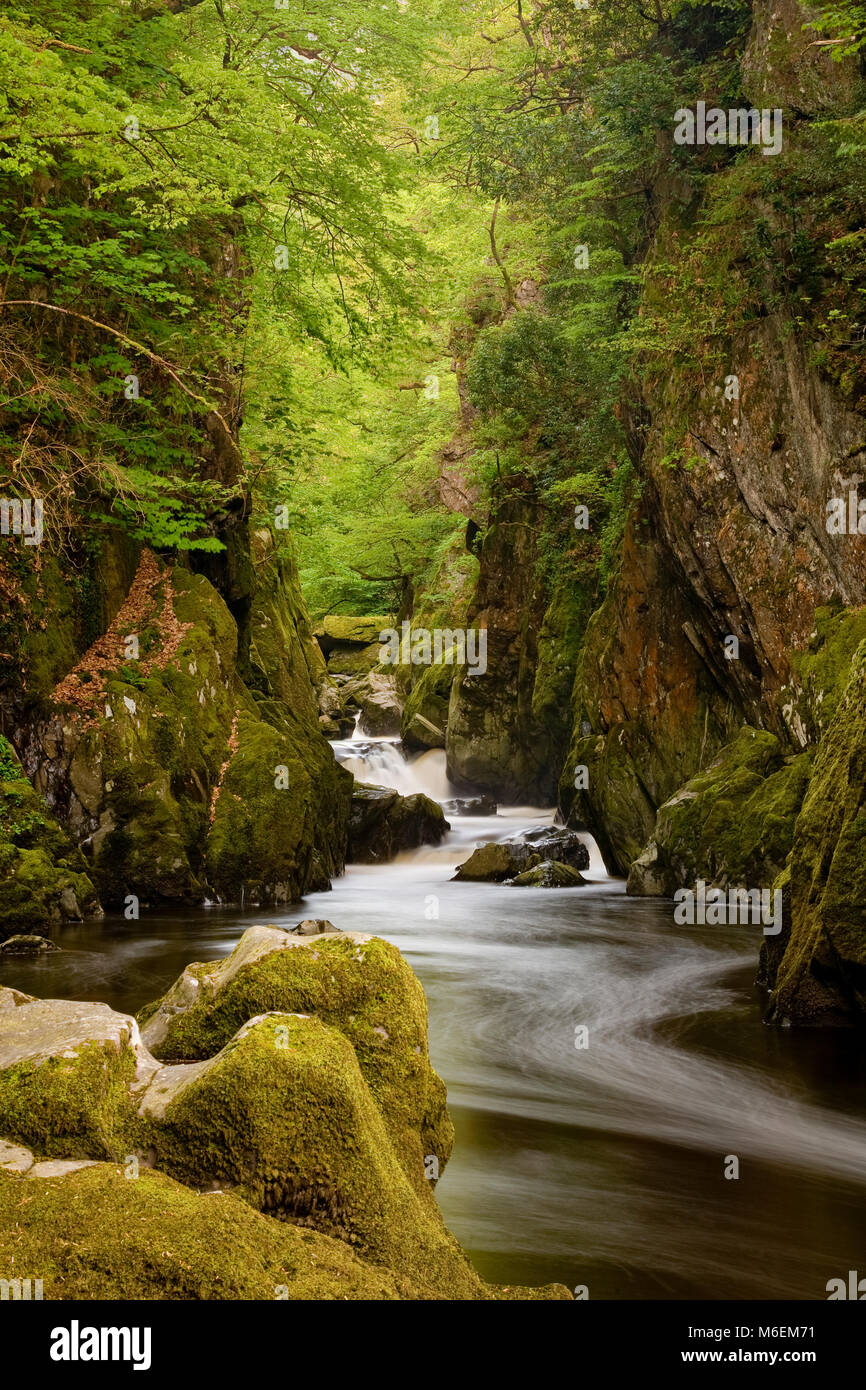 The gorge at Fairy Glen, Snowdonia, Wales Stock Photo - Alamy