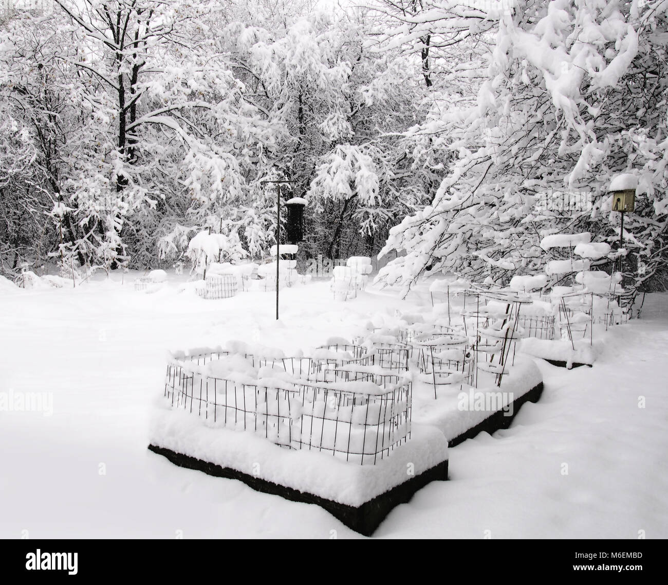 Backyard and forest covered in snow after a winter storm Stock Photo ...