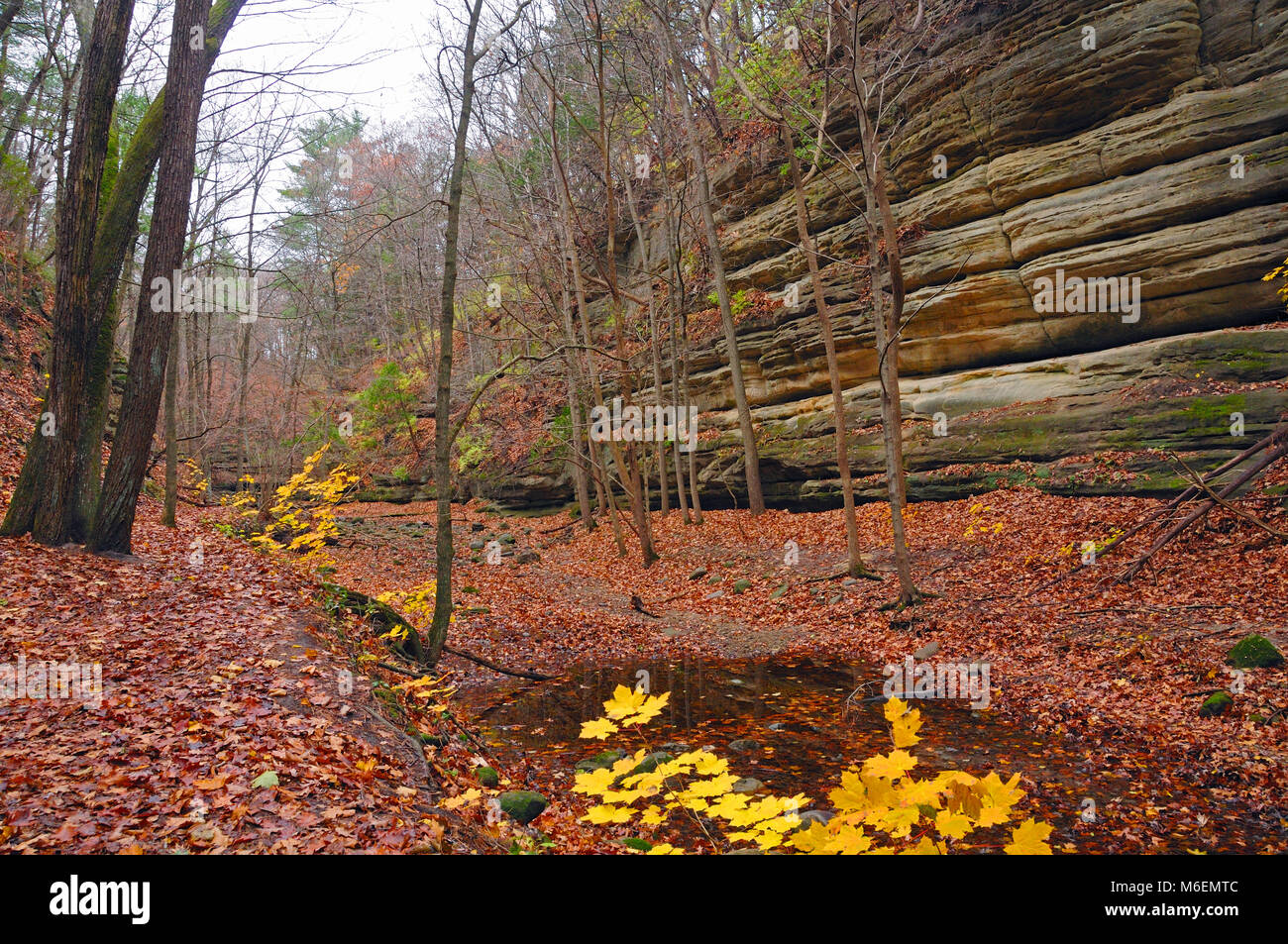 This picture is taken in Matthiessen State Park in Illinois in the late ...